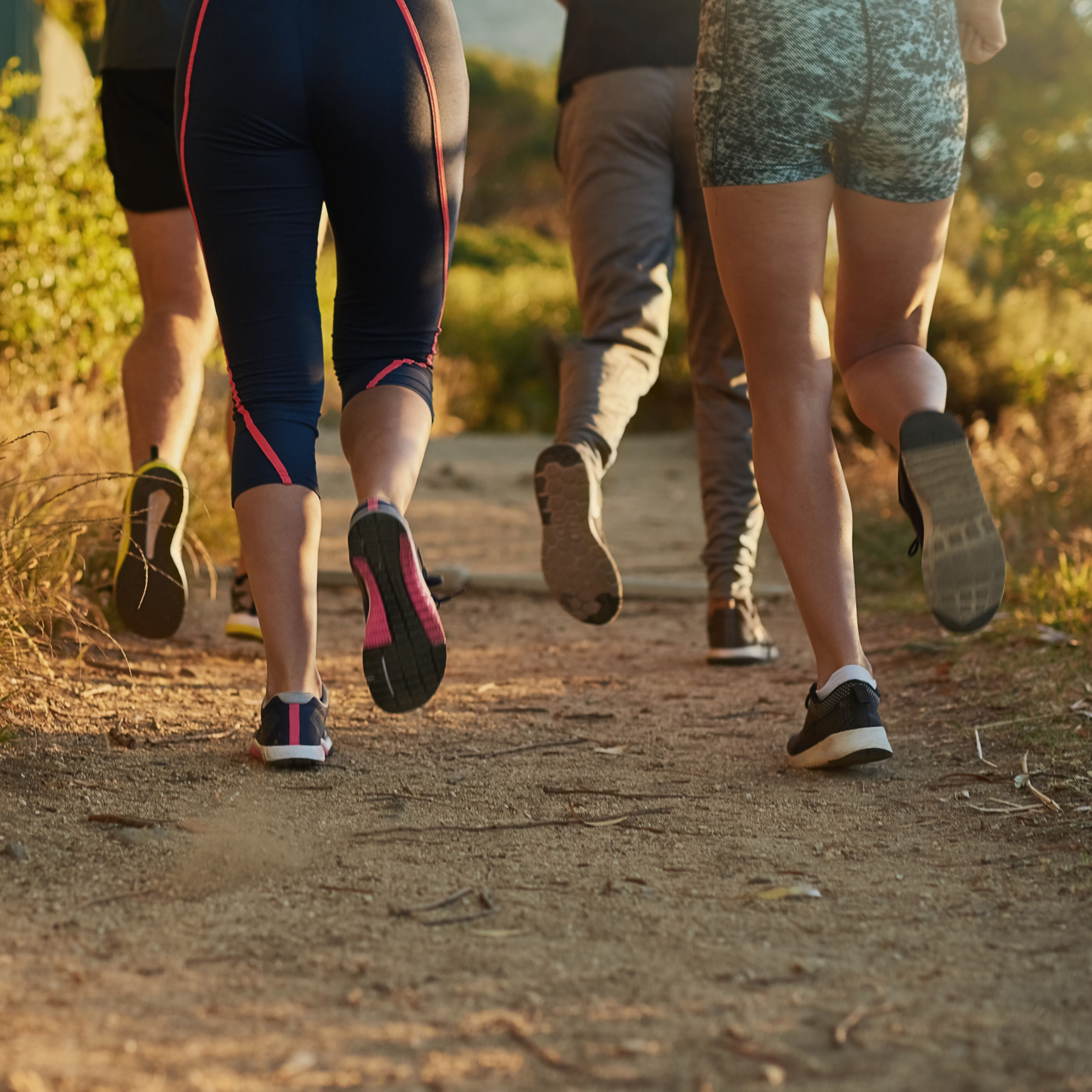 Join free run clubs around UQ - UQ Life - University of Queensland